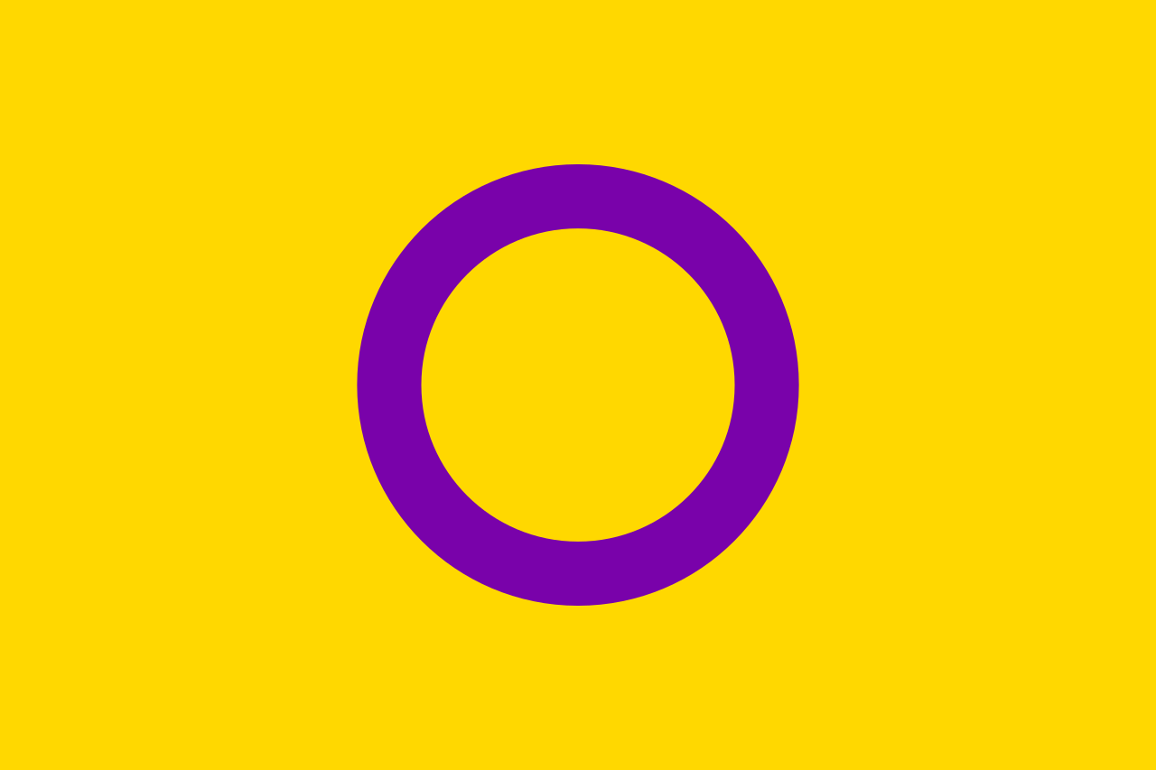 Intersex Pride 12"x18" Stick Flags Parade Rainbow Inclusive
