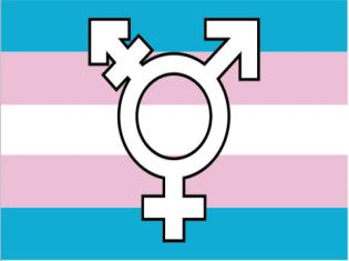 Transgender Official Symbol 12"x18" Car Flag ROUGH TEX® Knit Double Si