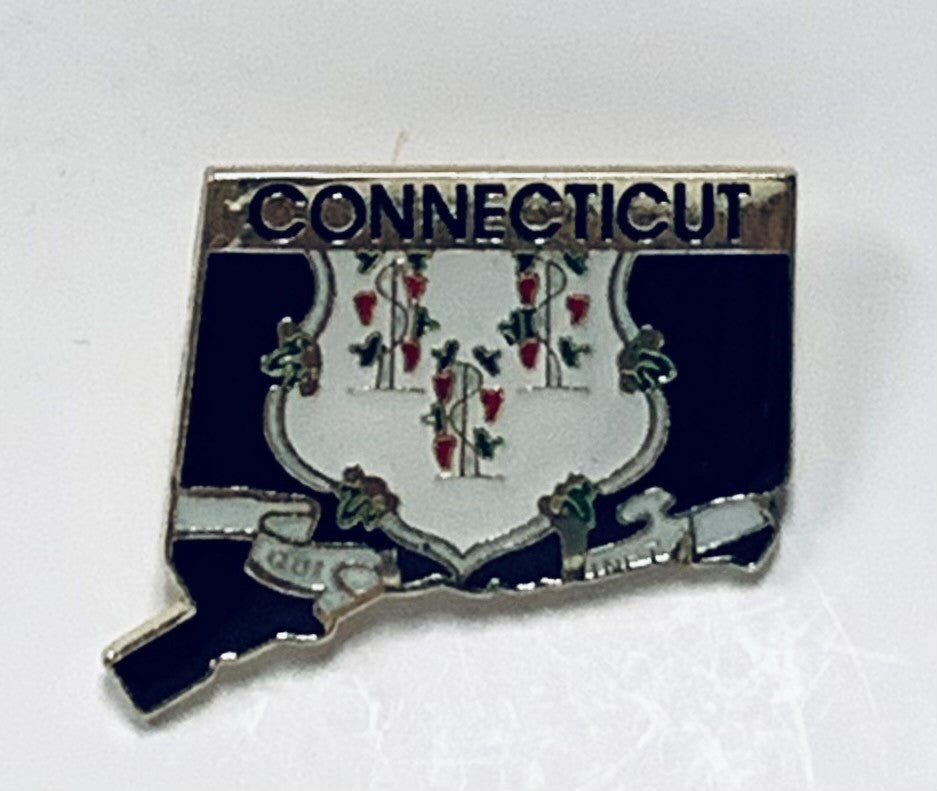 Collection of State Lapel Pins of the USA (All 50 USA States)