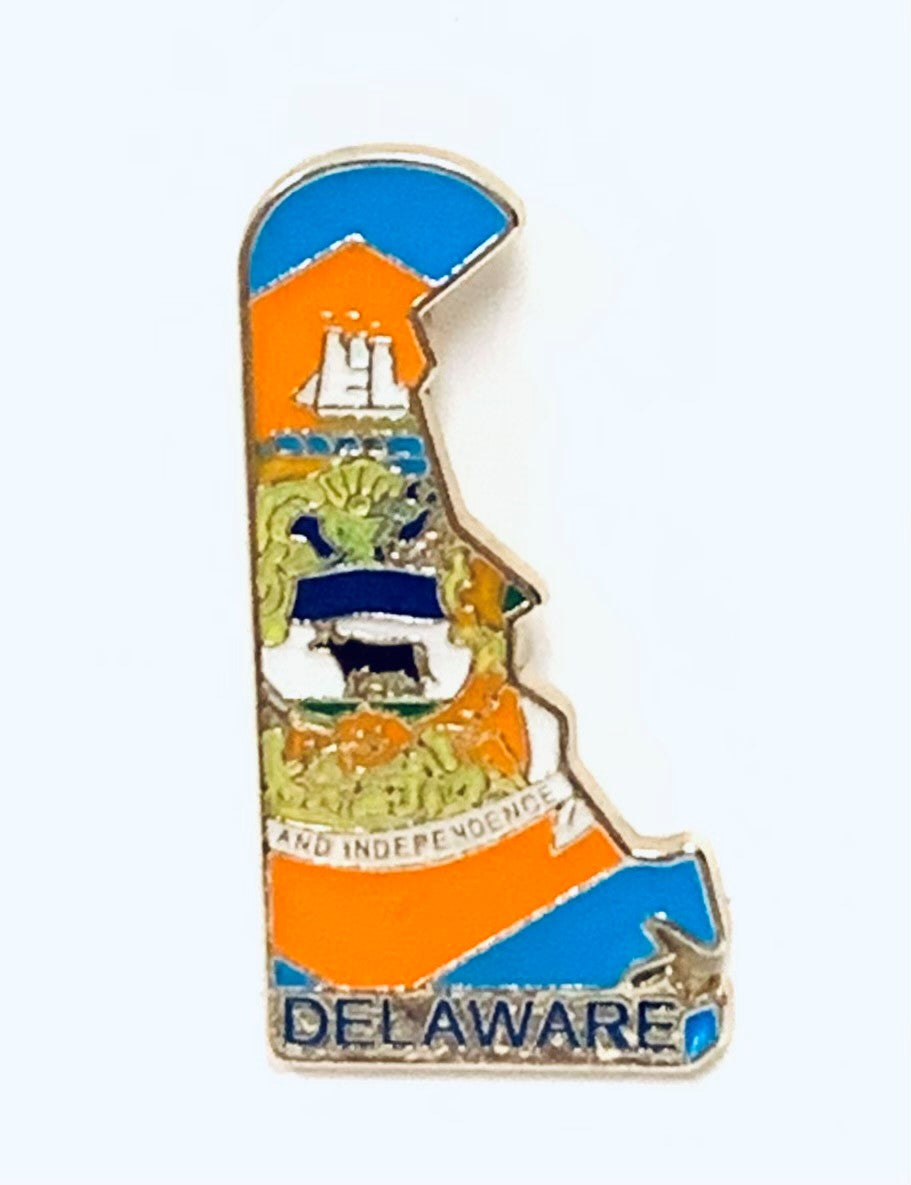 Collection of State Lapel Pins of the USA (All 50 USA States)