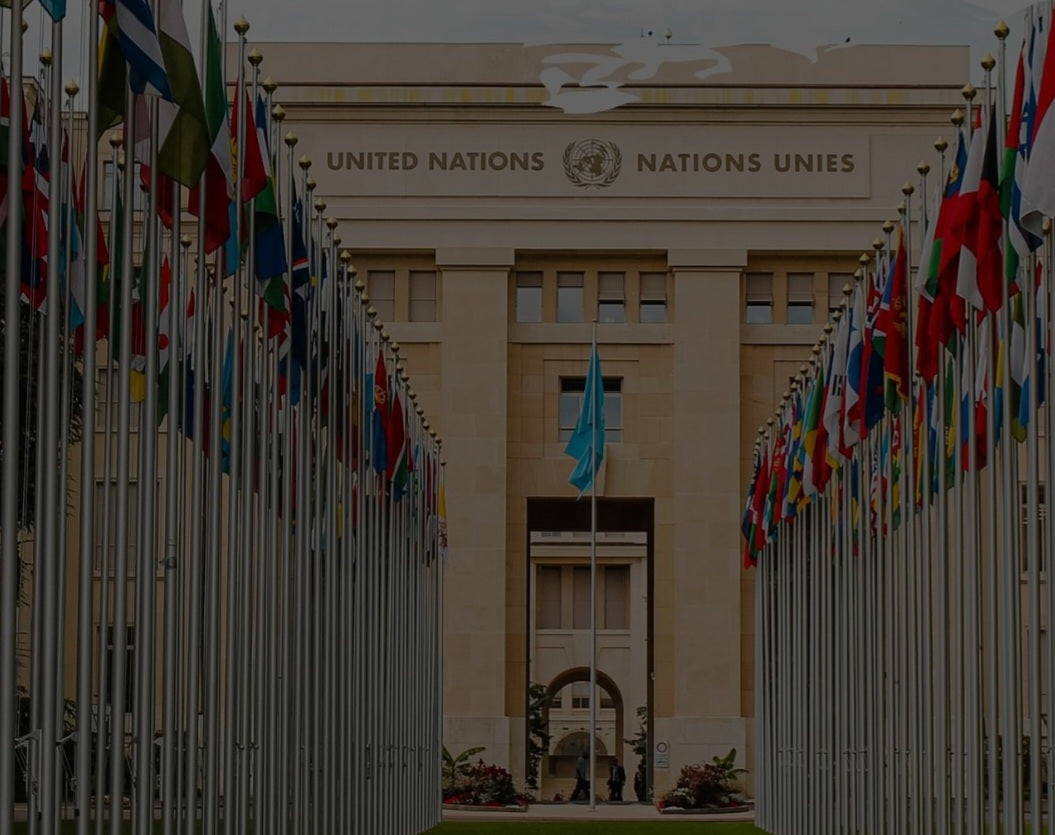 African States United Nations Members 3x5 Feet Flags Set of 58 Flags