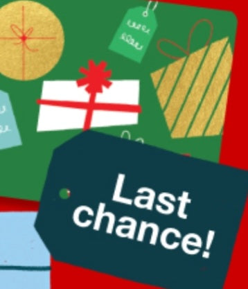 Last Chance Door Busters Christmas 2025 Sale Pair of American USA & Fr