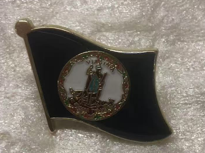 Virginia Wavy Lapel Pin