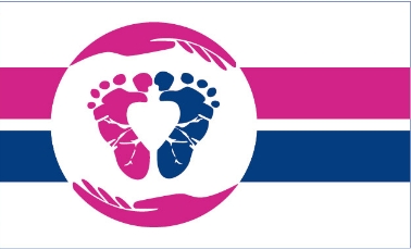 Pro Life Pride 3'X5' Flag Rough Tex® 100D