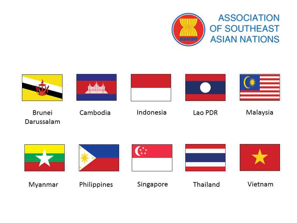 ASEAN Flag Set Ten Flags 3x5 Feet