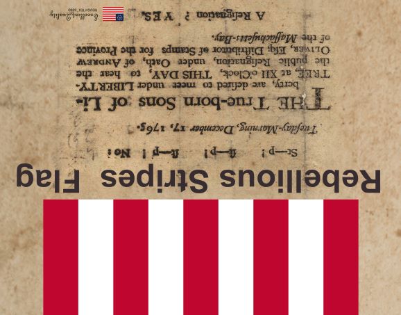 Sons of Liberty 3'x5' Embroidered Flag Rough Tex® Cotton Rebellious St